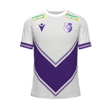 FC Argeș - FC 26 - Feb 5, 2026 | SoFIFA