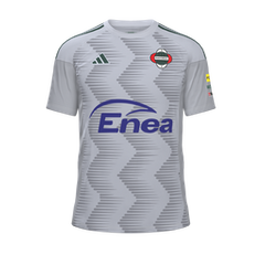 Radomiak Radom - FC 26 - Nov 20, 2025 | SoFIFA