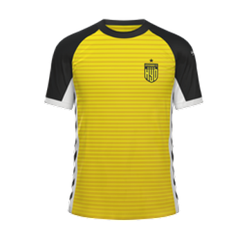 SC Delhi - FC 25 - Dec 11, 2024 | SoFIFA