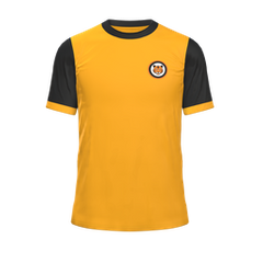 United Tigers SC - FC 26 - Nov 12, 2025 | SoFIFA
