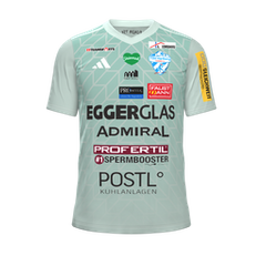 TSV Hartberg - FC 25 - 5 de fev. de 2025 | SoFIFA