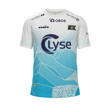 Viking FK - FC 25 - Feb 19, 2025 | SoFIFA