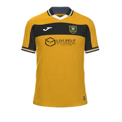 Livingston FC - FC 26 - Dec 17, 2025 | SoFIFA