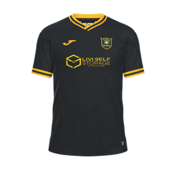 Livingston FC - FC 26 - Dec 17, 2025 | SoFIFA
