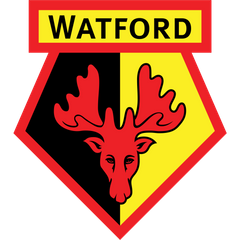Watford - FC 26 - Jun 17, 2026 | SoFIFA
