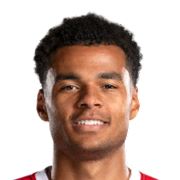 Cody Mathès Gakpo - FC 24 - Jun 12, 2024 | SoFIFA